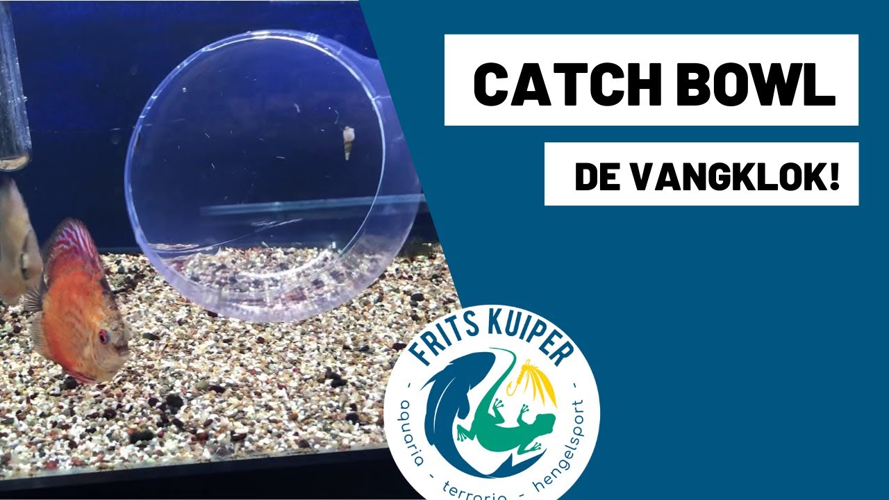 Vis vangen | Aqua Medic catch bowl - YouTube