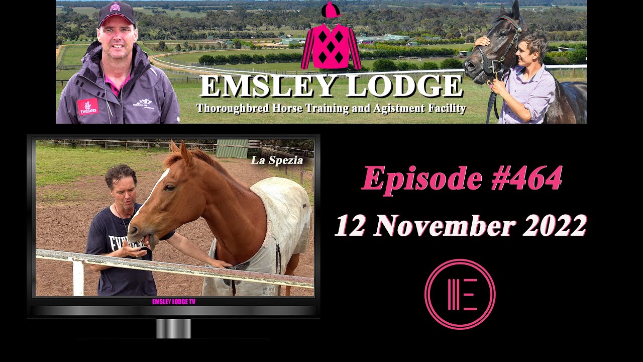 Nov 12 2022 - Emsley Lodge Report - YouTube