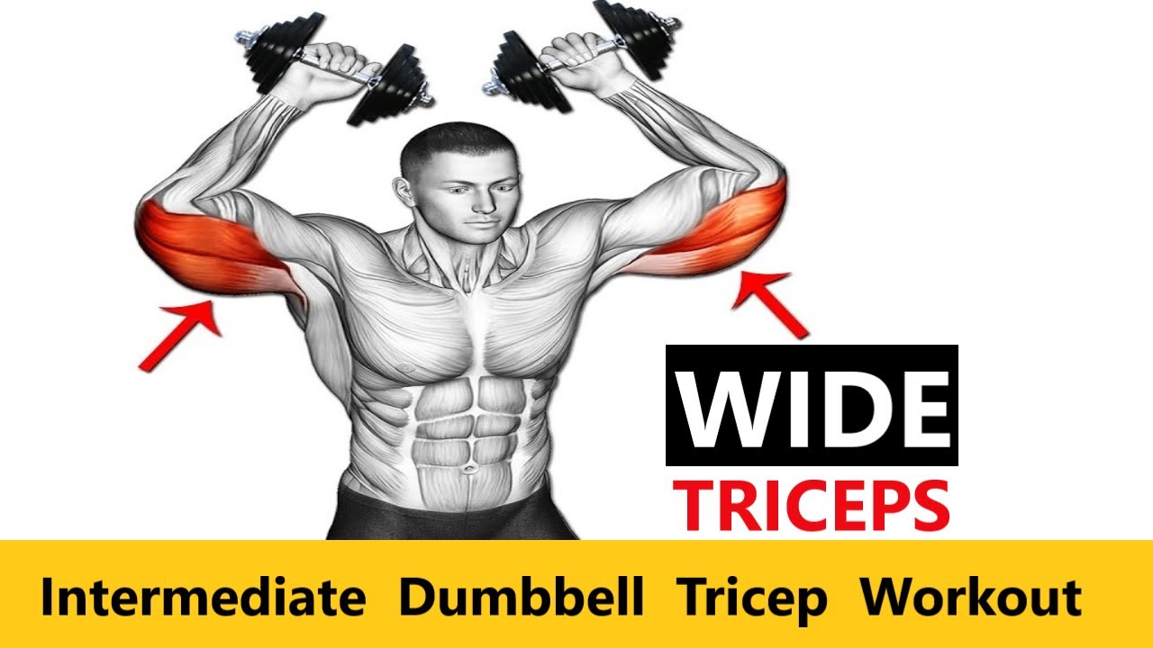 DUMBBELL TRICEP WORKOUT MUSCLE BUILDING WORKOUT INTERMEDIATE WORKOUT ...