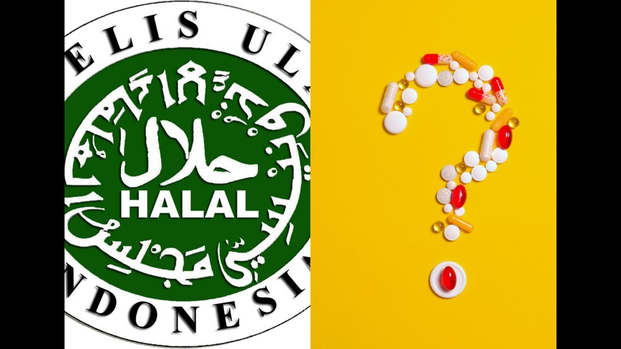 Halal Critical Points for Medicine and Supplement Products part 3 ...