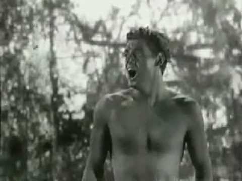 El famoso grito de Tarzán. O Grito do Tarzan.The Tarzan yell or Tarzan's jungle call
