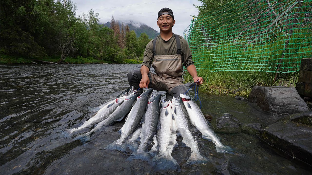 Combat Fishing Alaska Sockeye Salmon on The Famous Russian River ...