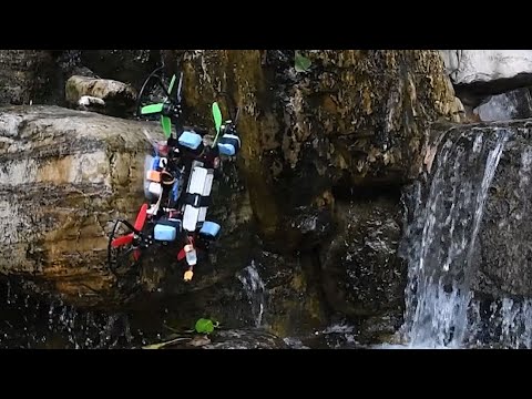 This little bot can hitchhike, swim and swoop with ease | Safe Videos ...