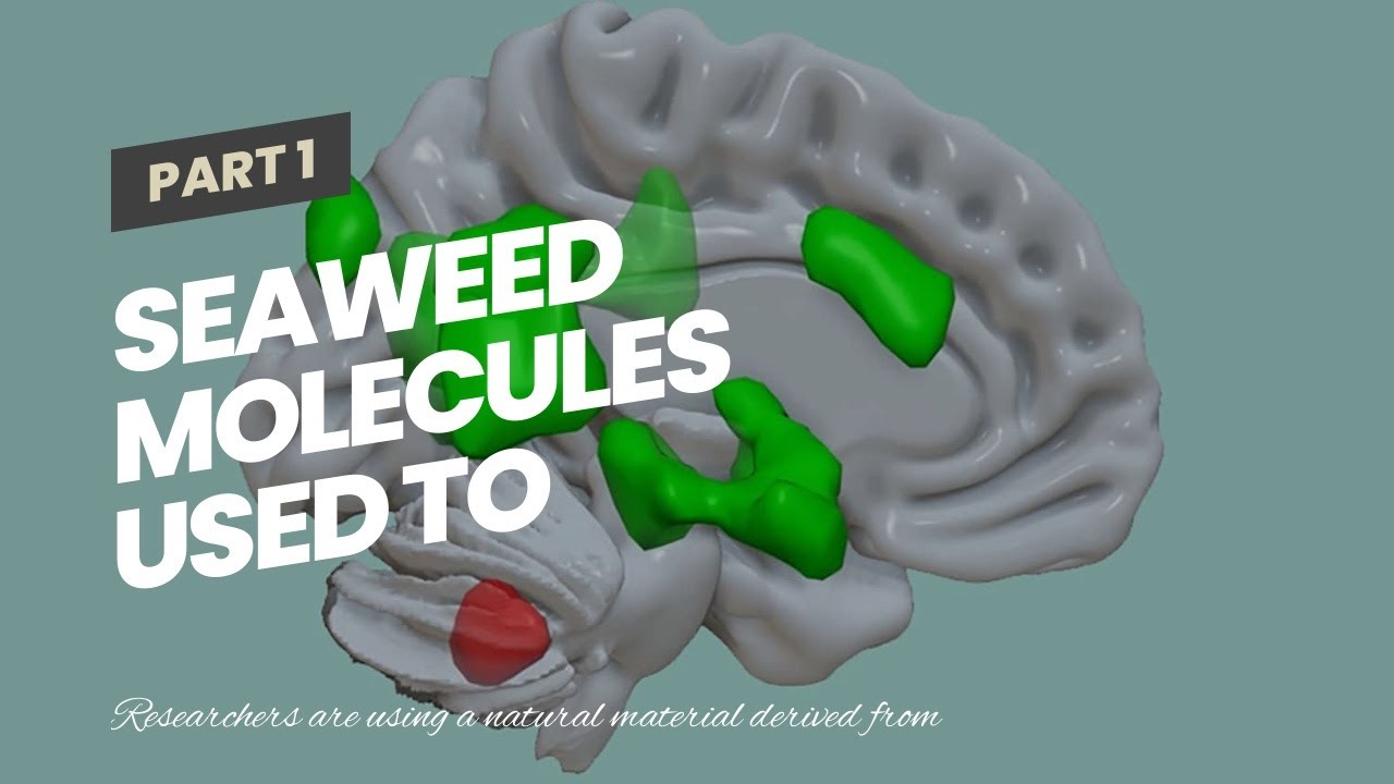 Seaweed molecules used to improve outcomes for bypass surgery - Go IT