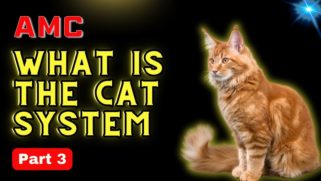 AMC What is Taking the CAT System So Long to Begin - YouTube