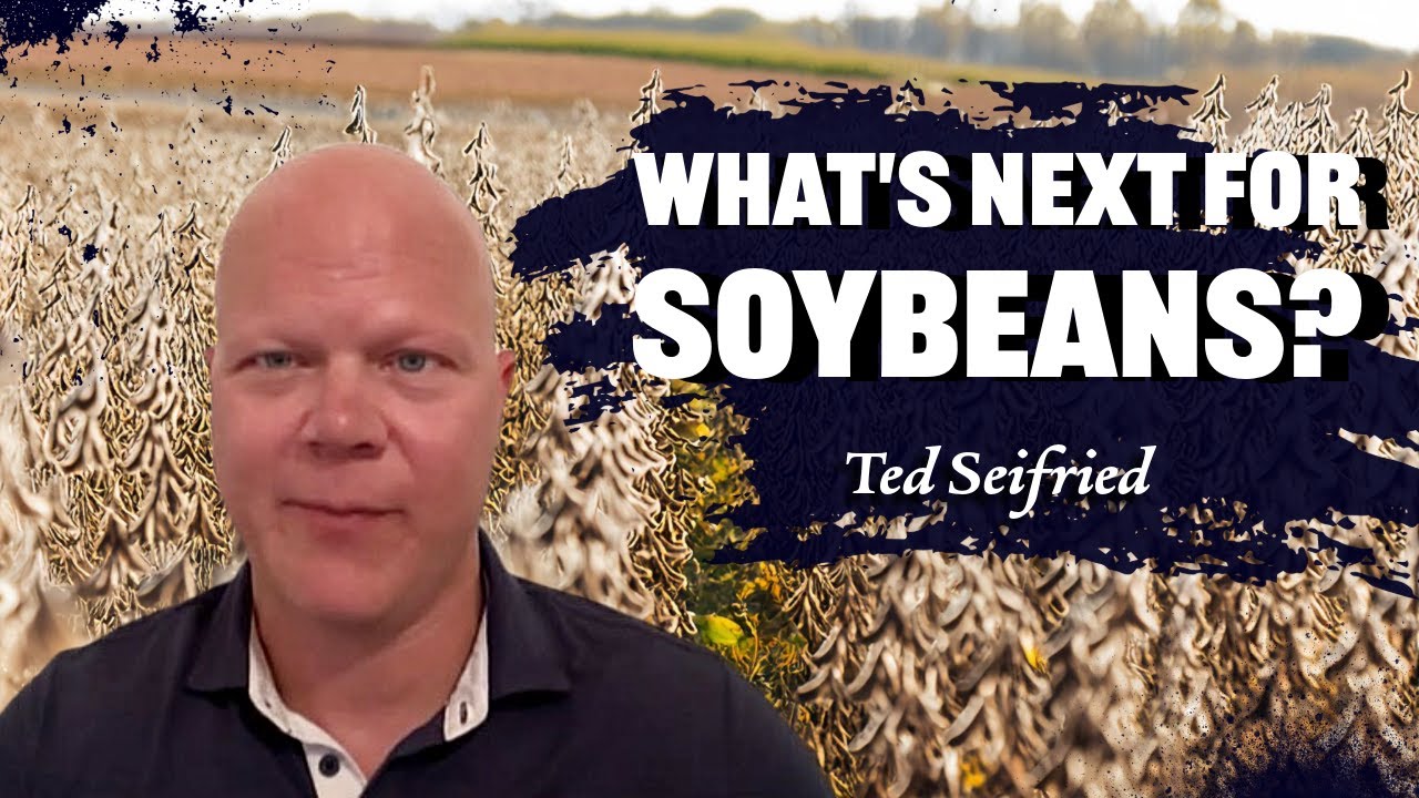 What's Next for Soybeans: Ted Seifried on RFD-TV - YouTube
