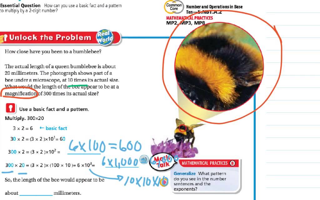 Lesson 1.5 Algebra: Multiplication Patterns - YouTube