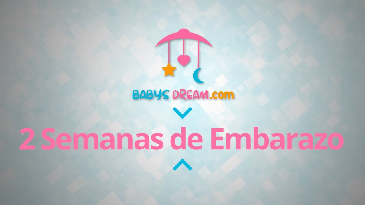 Bebé - 2 Semanas de Embarazo | Signos y síntomas del embarazo - YouTube