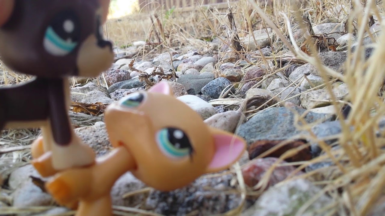 Episode 2 of LPS Wild - YouTube