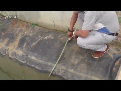 Self sinking aeration Hose Working Condition