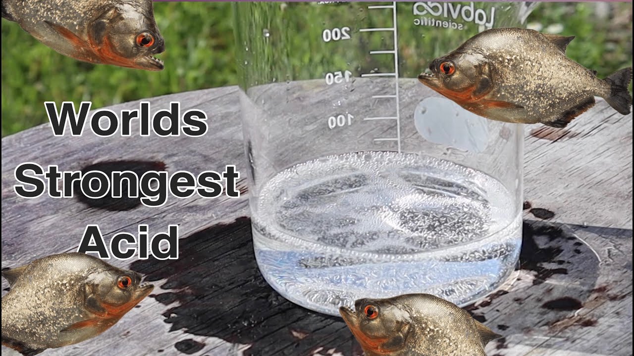 Melting 10 Different Things in Piranha Solution - YouTube