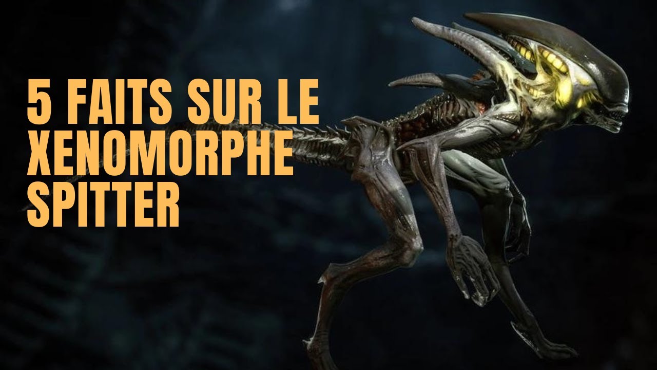 5 FAITS SUR LE XENOMORPHEUR SPITTER #xenomorph #aliensdarkdescent - YouTube