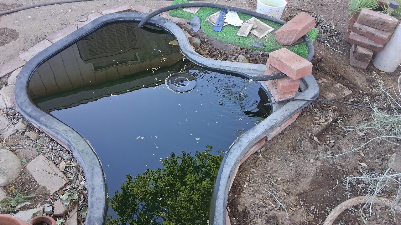 HOW TO CLEAN A GREEN FISH POND 7 - YouTube