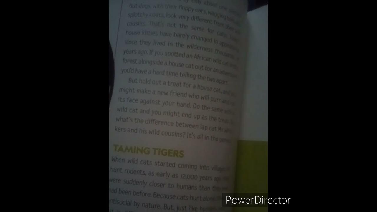 I'm Reading my National Geographic Kids Cat Breed Guide Part 7 - YouTube