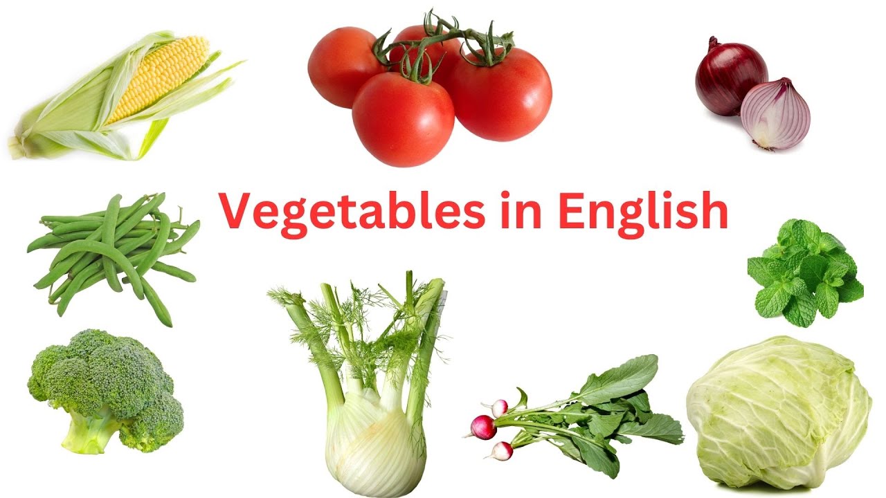 Vegetables vocabulary / What's the BEST Way to Learn Vegetables In ...
