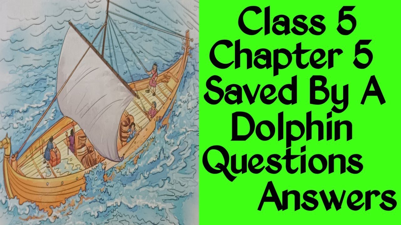 Class 5|Saved By A Dolphin|Question & Answer@englishmasti - YouTube
