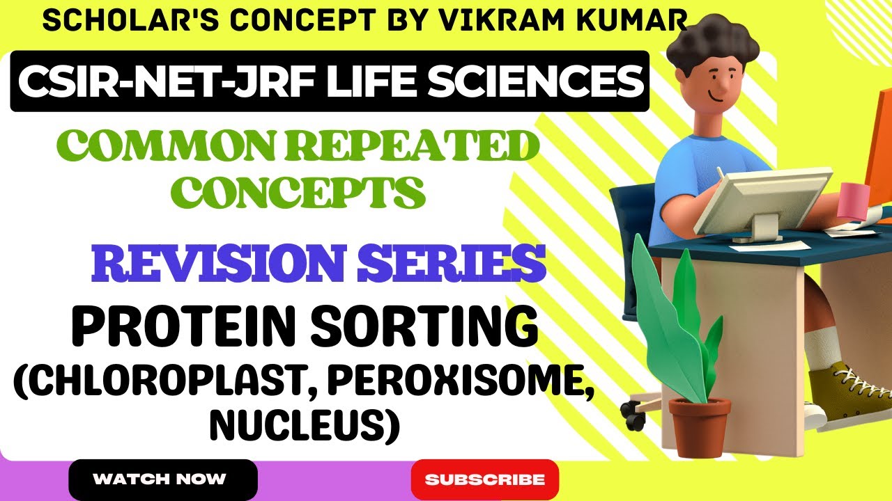 Protein Sorting (Chloroplast, Peroxisome, Nucleus) | Ecology | Common ...