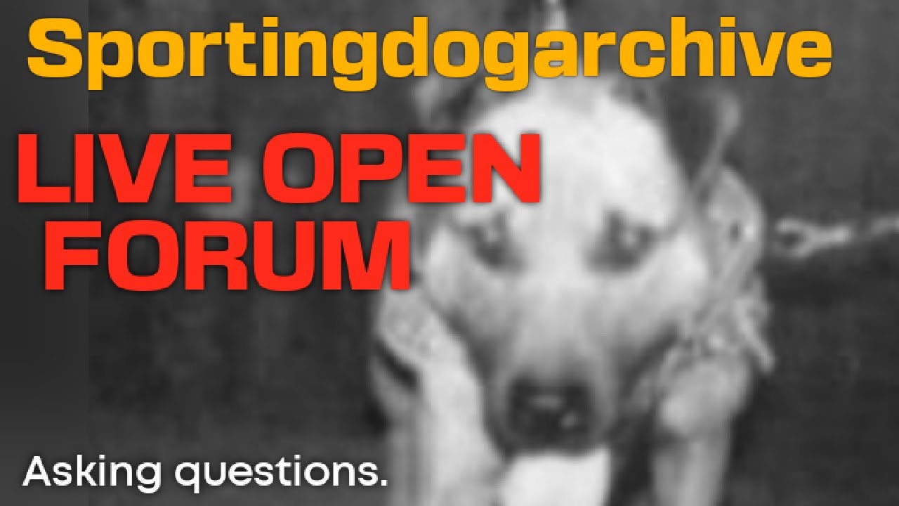 Live chat: Open forum - YouTube