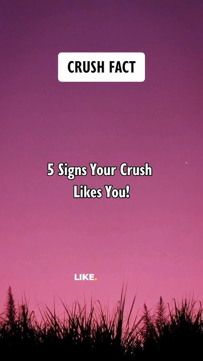 5 Signs Your Crush Likes You! Crush Facts #shorts #psychologyfacts - YouTube