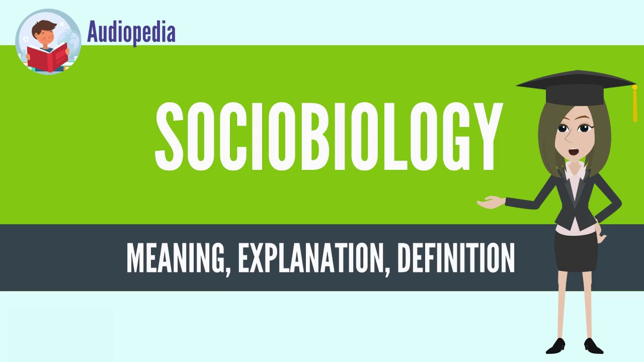 What Is SOCIOBIOLOGY? SOCIOBIOLOGY Definition & Meaning - YouTube
