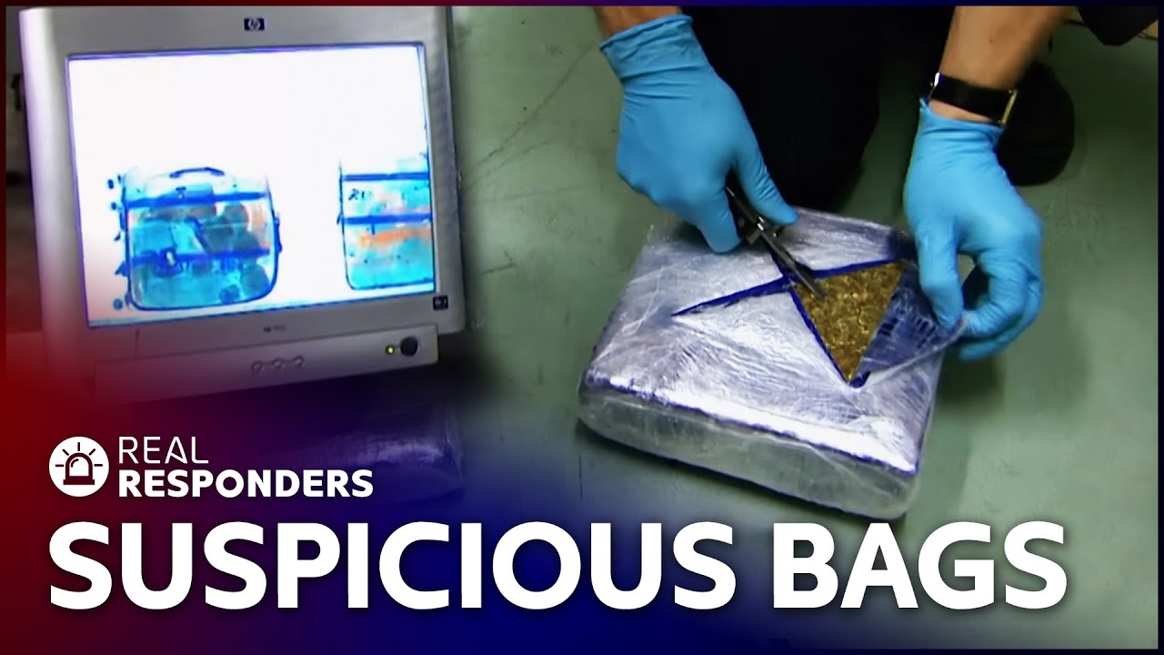 On The Hunt For Drug Smugglers And Illegal Goods | Best Of Customs ...