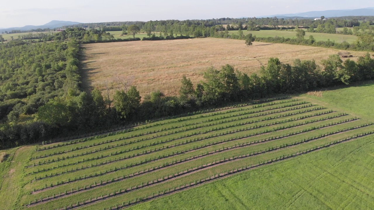 Old Wooster Farm Fields - YouTube