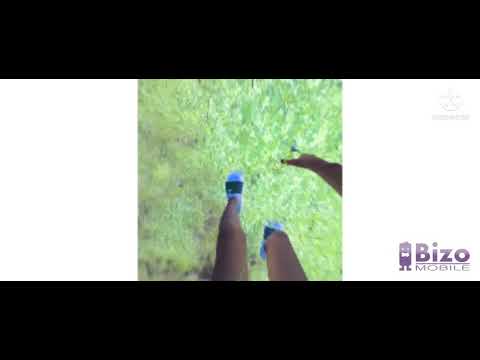 g major 182 - YouTube