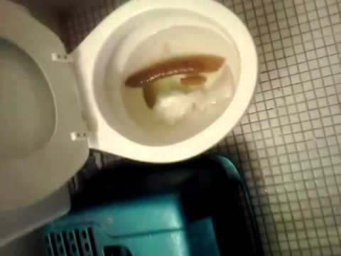 Biggest terd ever - YouTube