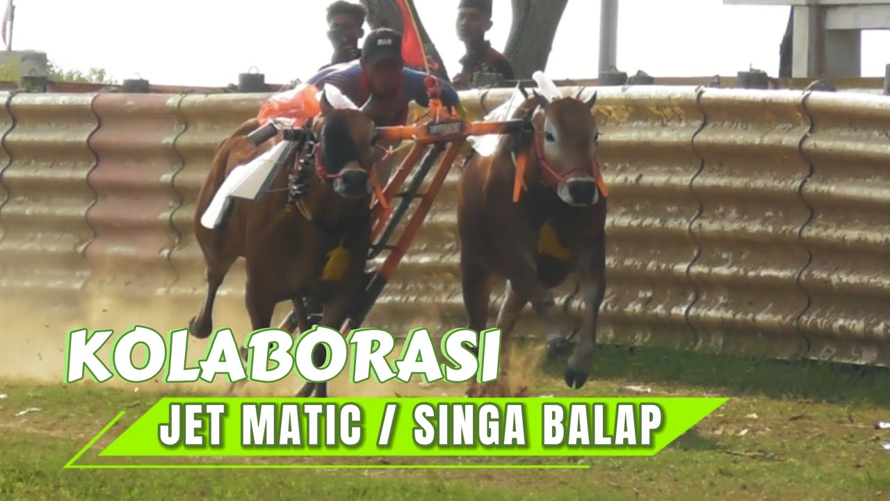 Hasil latihan kolaborasi jet matic / singa balap - YouTube