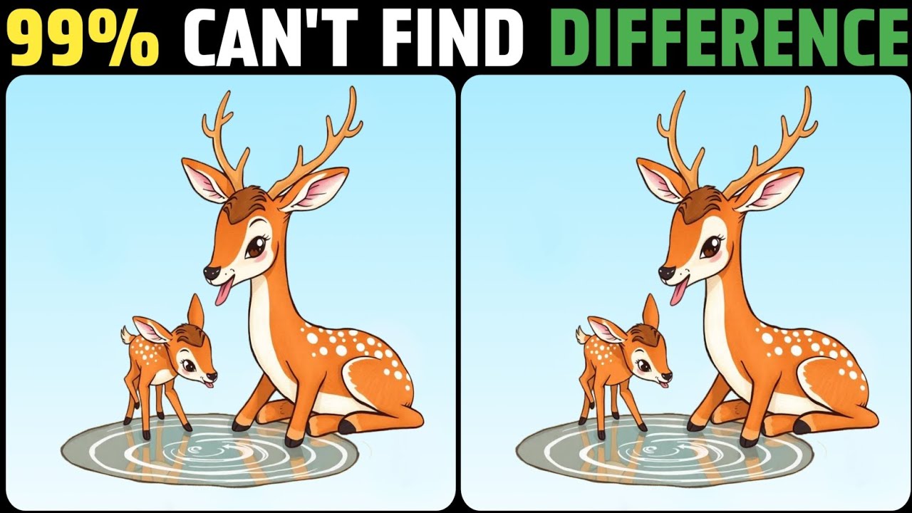 This Looks Easy… Until You Try Finding the 3 Differences!🥸🔥 - YouTube