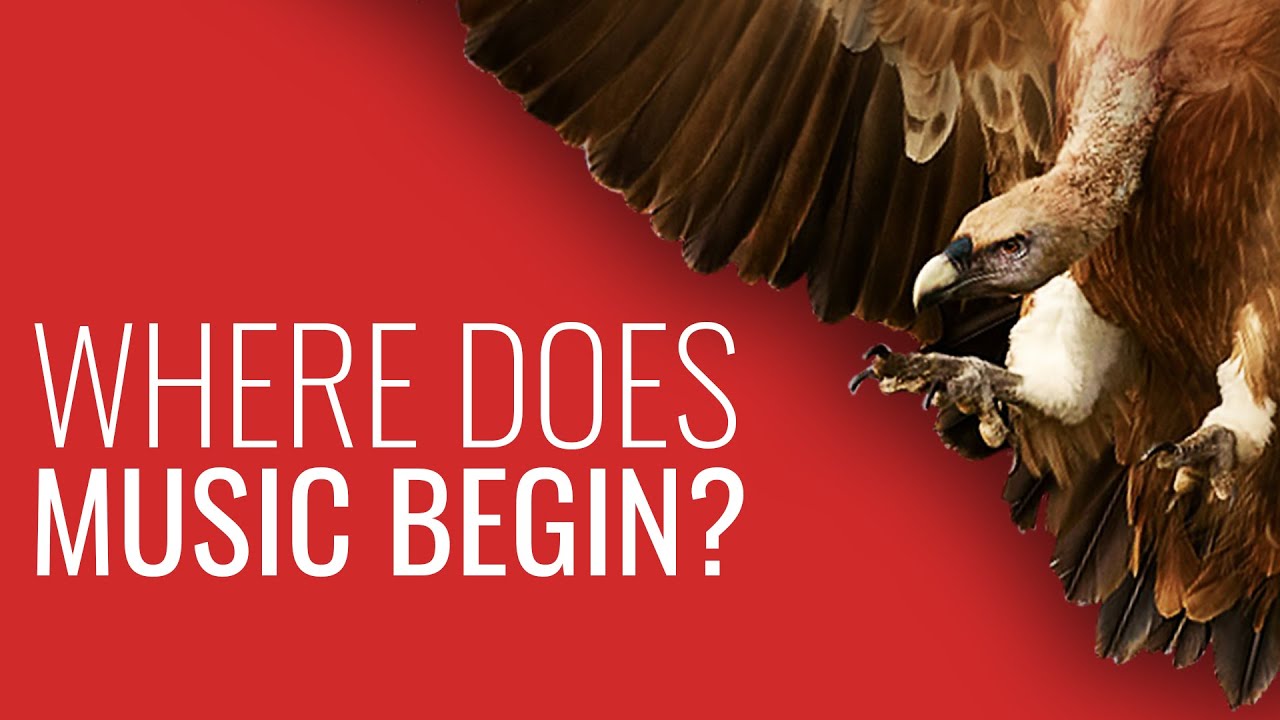 Where Does Music Begin? - YouTube