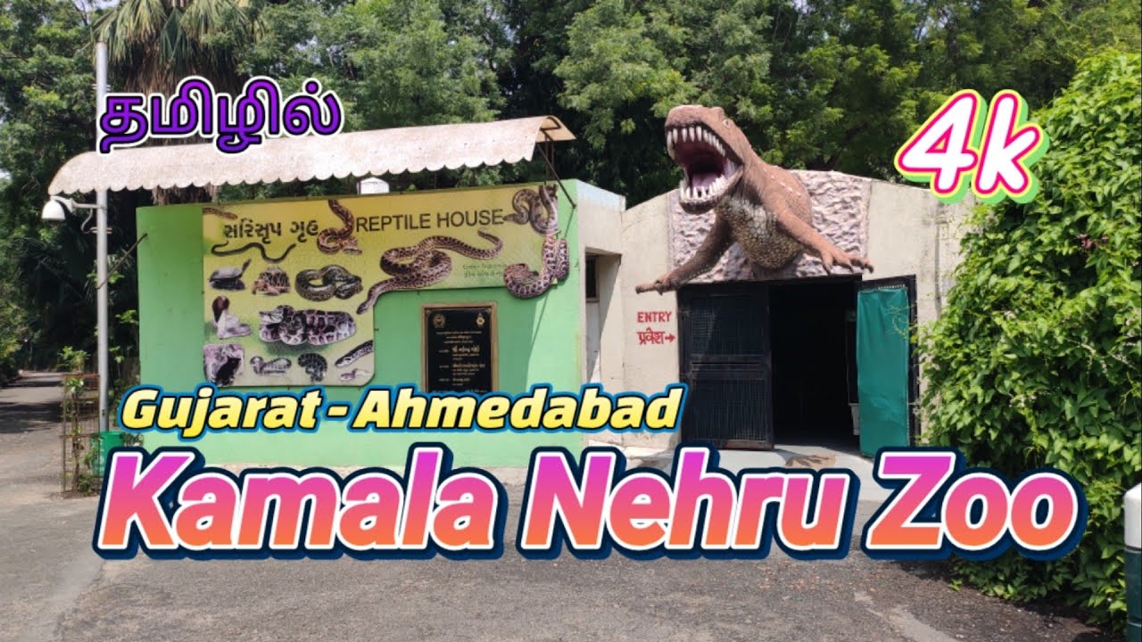 kankaria zoo ahmedabad | Kamala Nehru Zoological park Tamil | கமலா நேரு ...