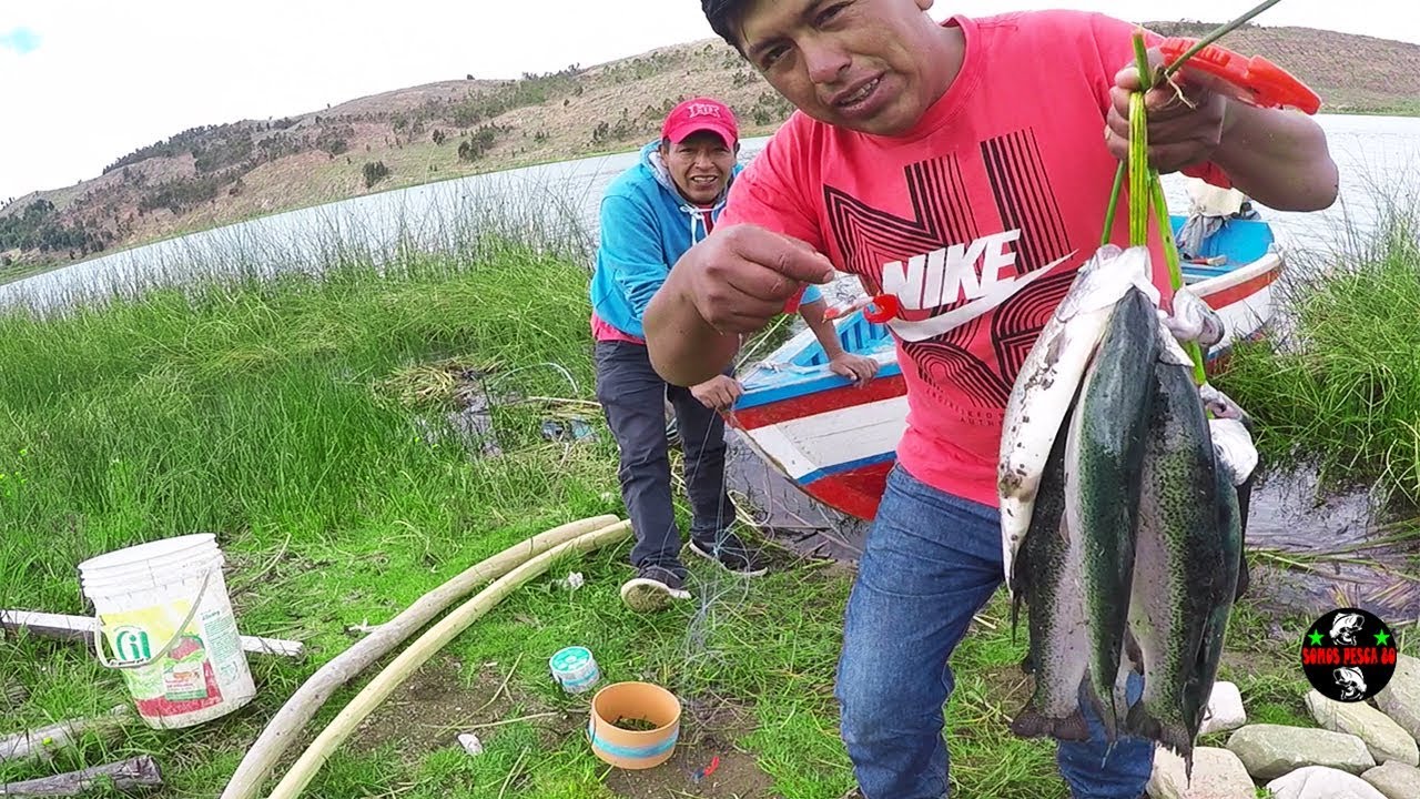 Pesca de Truchas en Lagunas - Pescando Truchas Grandes con Anzuelo ...