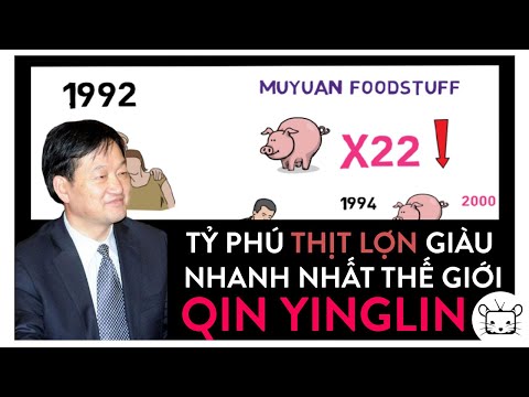 Chuyện thật như đùa, tỷ phú thịt lợn giàu nhanh nhất thế giới - Quin Yinglin | BLACKRATTV