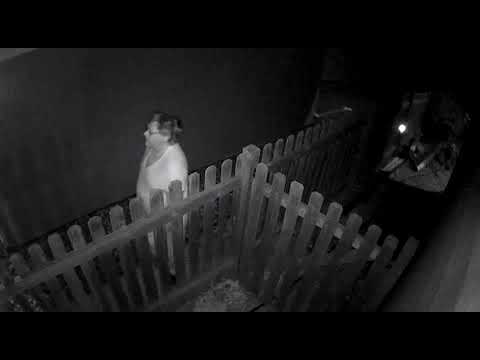 Creepy neighbor caught on security camera #4 - YouTube