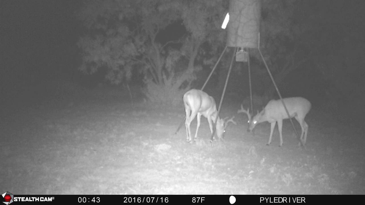 Deer98 - YouTube