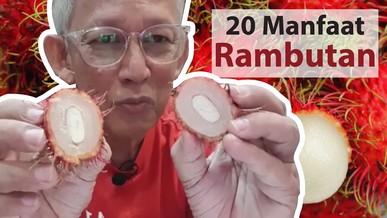 20 Manfaat Rambutan, Biji pun best! Dari mana Asal nya? | Dr. Noordin ...
