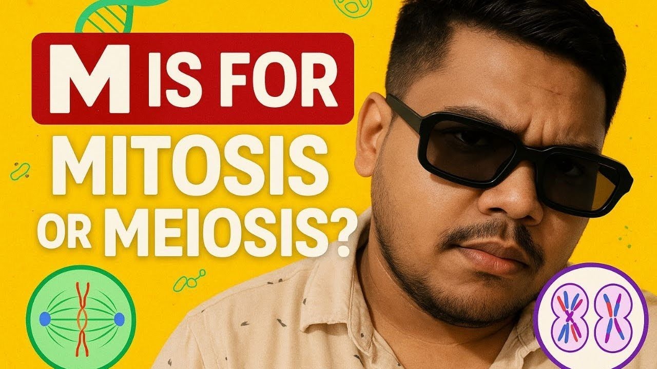 📚 M is for Mitosis or Meiosis? | Easy Explanation in Hindi | Biology | The Science Squad - YouTube