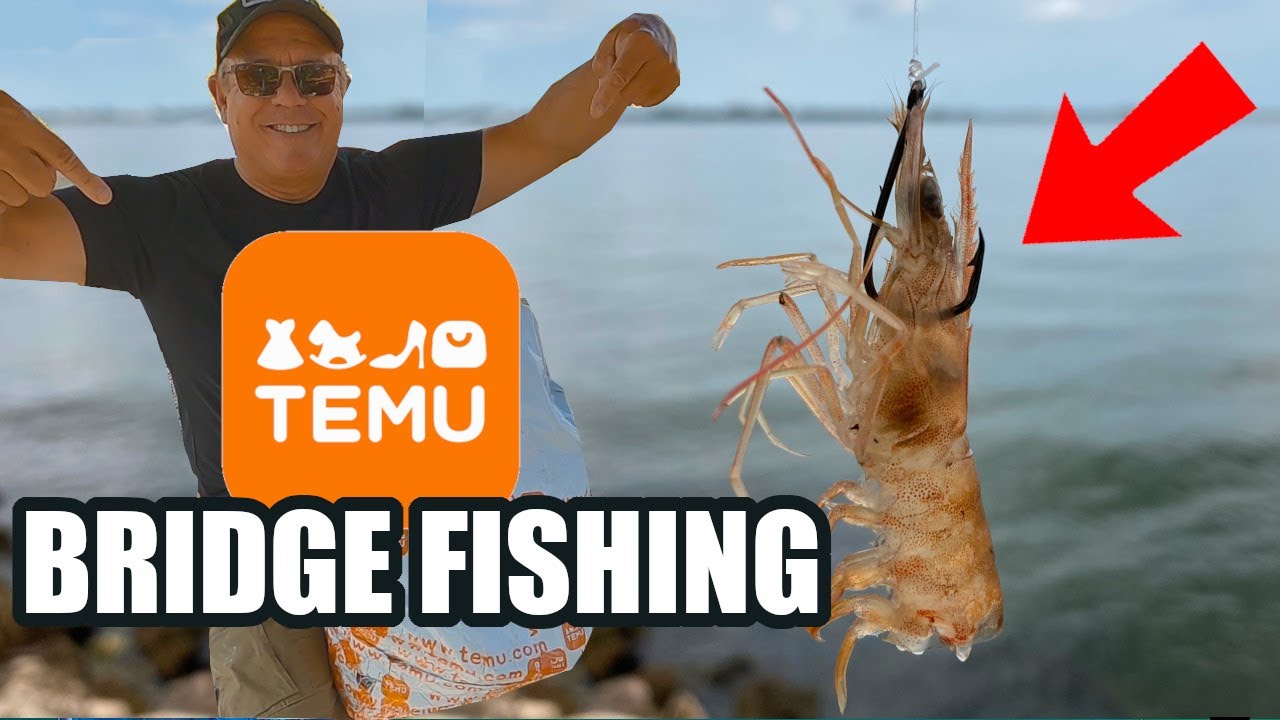 Bridge Fishing With TEMU Gear and Live Shrimp (Saltwater Fishing ...
