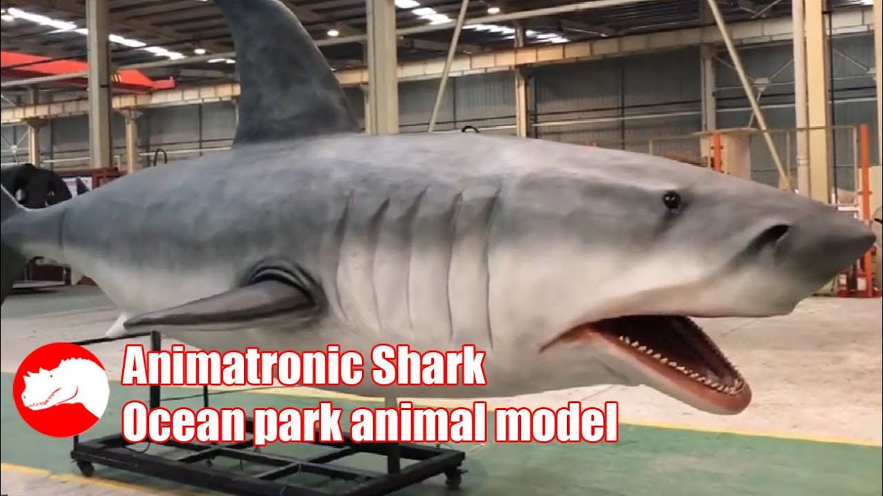 Lifelike Robotic Shark Model - Ocean Park Animal Decoration - YouTube