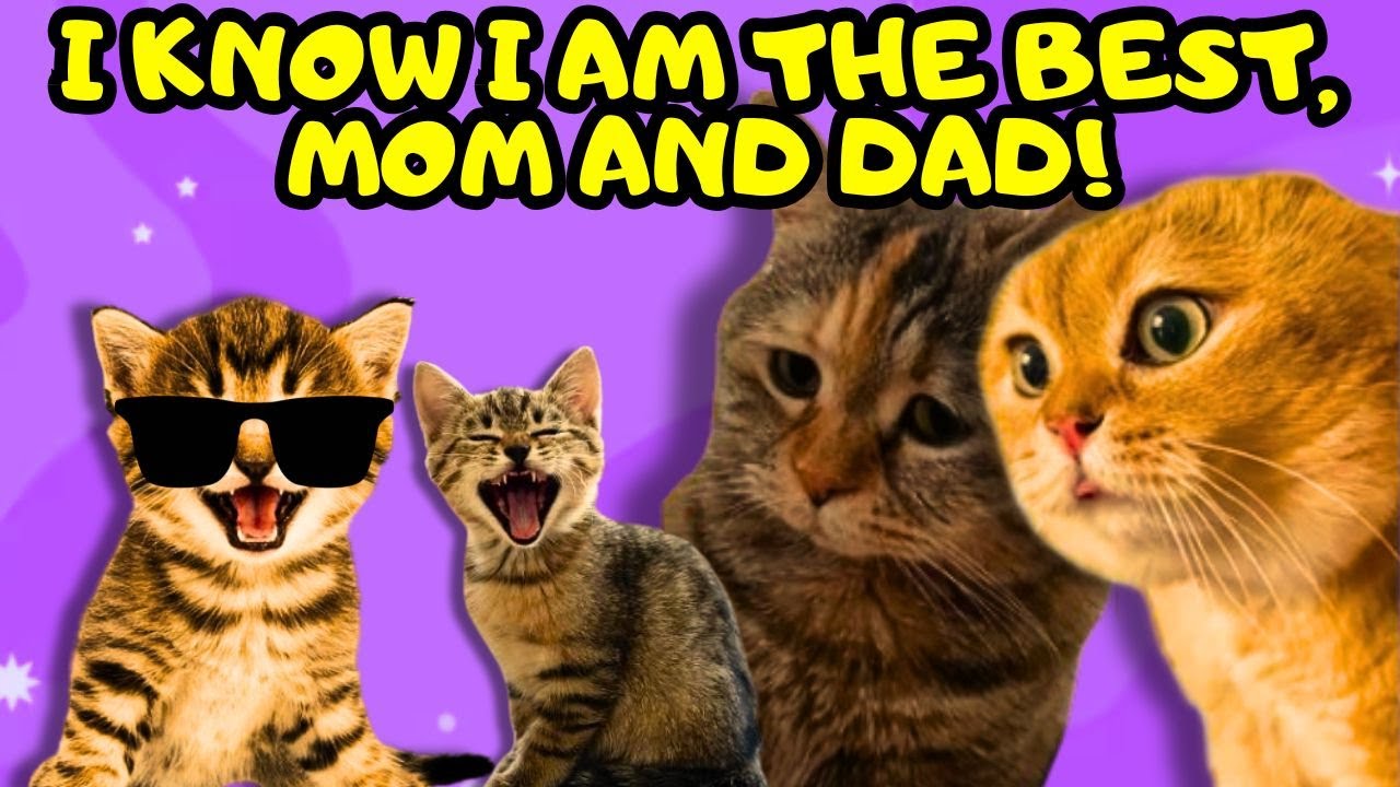 When a Cat Proves he is the Best Sand Castle Builder Ever (part 2) (Ep ...