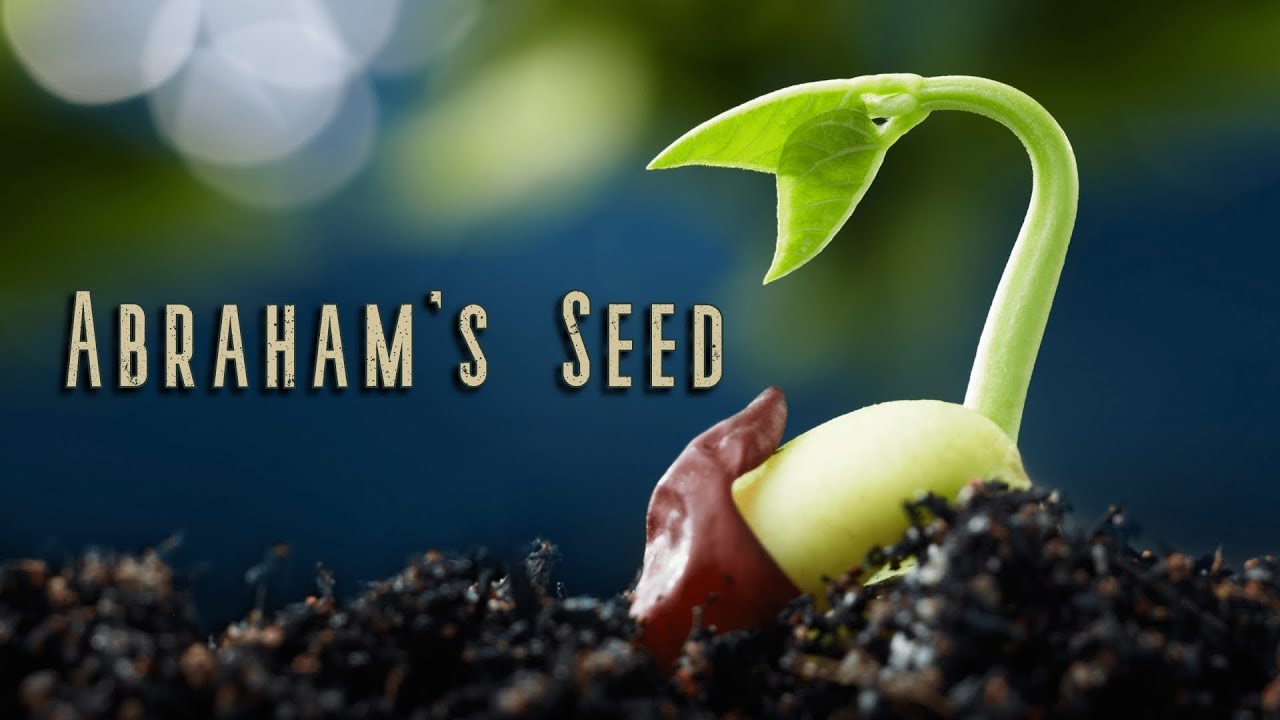 Robert Reed - Abraham's Seed - YouTube