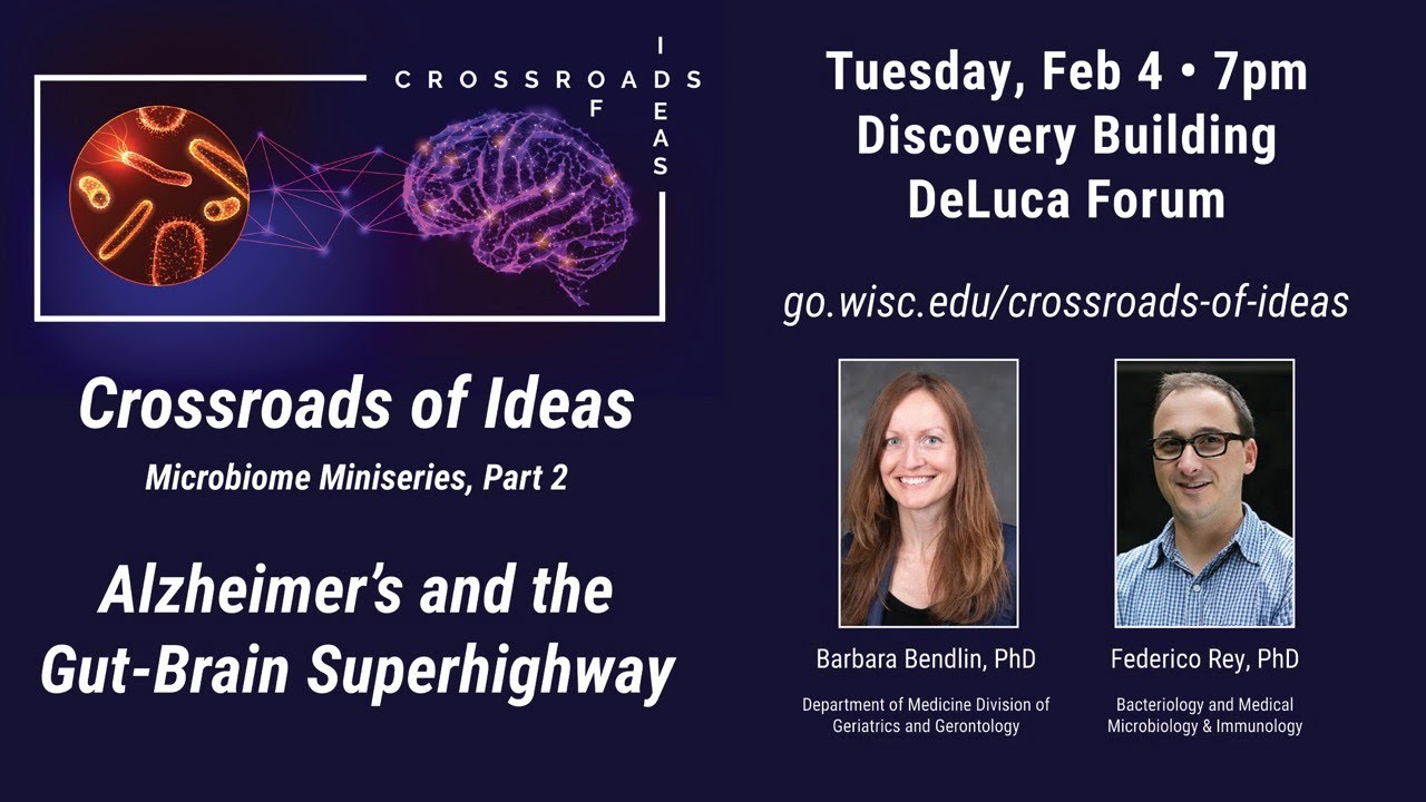 Crossroads of Ideas: Alzheimer's and the Gut-Brain Superhighway - YouTube