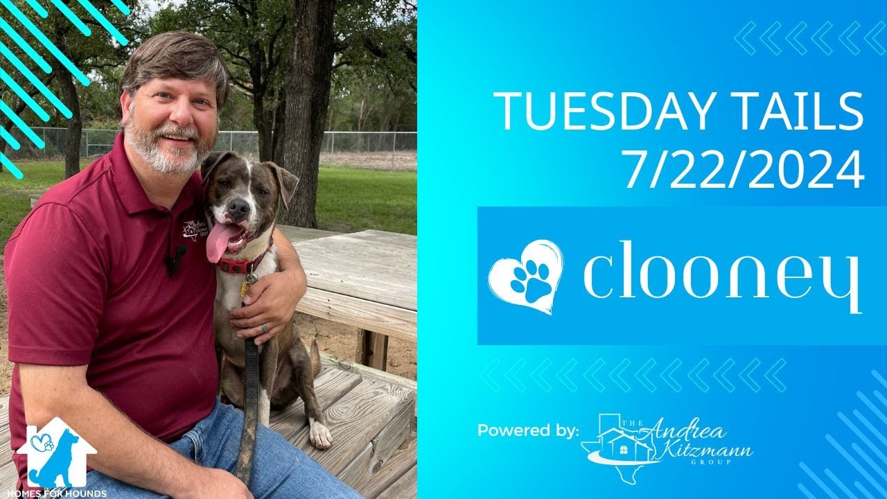 Tuesday Tails: Clooney! - YouTube