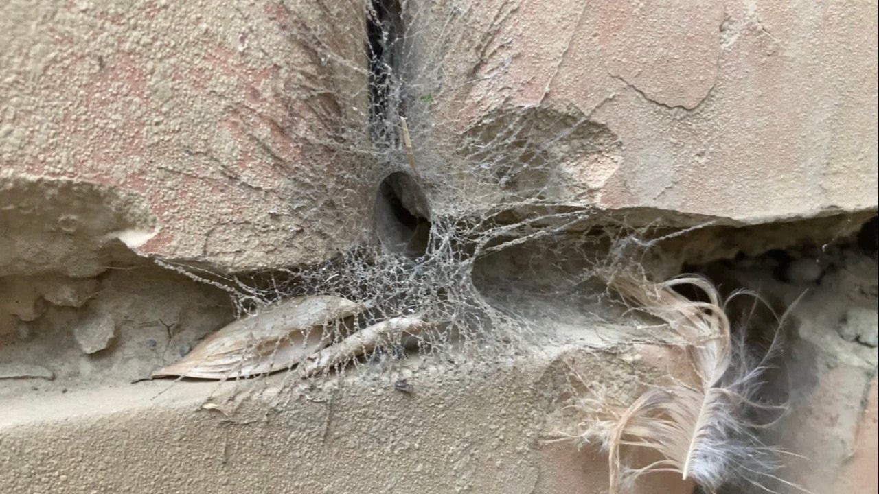 Spider web on the brick _ spider web design: Part 3 - YouTube