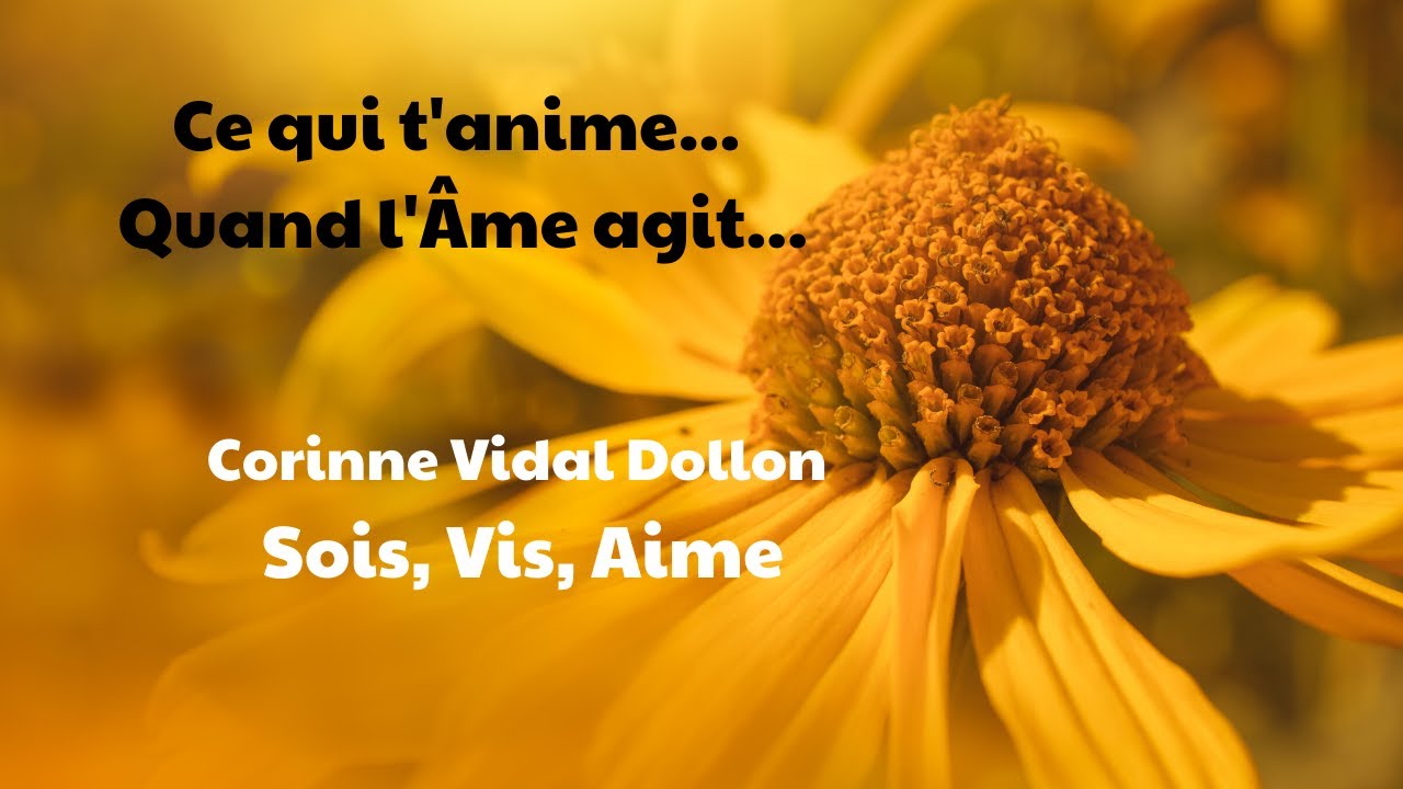 Mettre de la Vie dans sa vie - Corinne Vidal Dollon - Sois, Vis, Aime ...