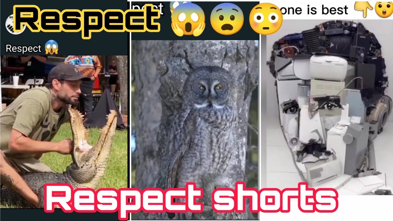 Respect Shorts &Video 🤯🥶💯🔥 Episode -1 #respectShorts #respect - YouTube