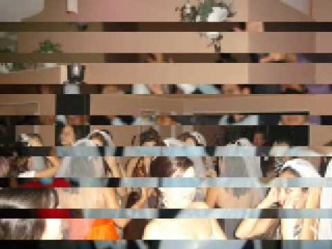 Ramo y Liguero