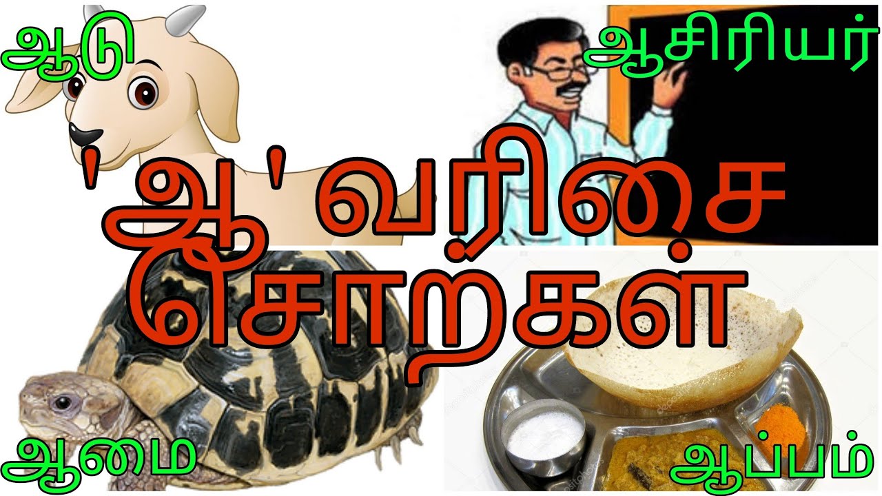 'ஆ'வரிசை சொற்கள்📝#tamizh letters&words learning#kids learning letters ...