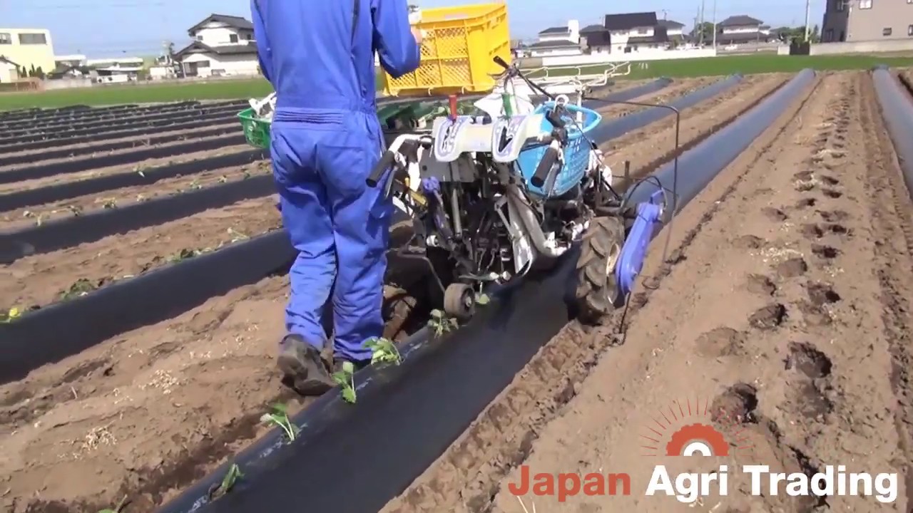 Kubota Sweet potato Transplanter KP100E-70PSDBL - YouTube